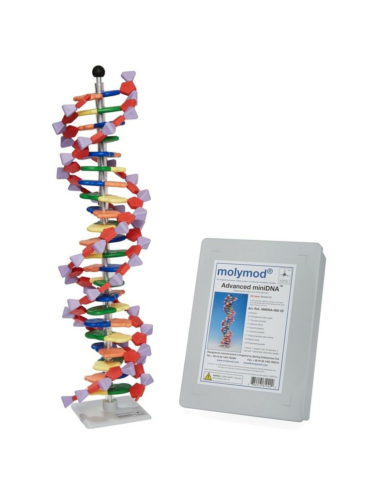 Materiale Didactice Gimnaziu si Liceu :: Biologie :: Modele ADN / ARN ...