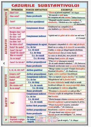 Substantivul /Cazurile substantivului (duo) - eduvolt.ro